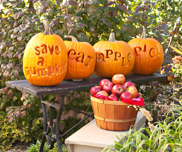 Halloween: decora con calabazas talladas y disfrazadas