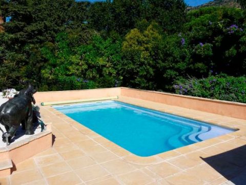 Nada mejor que una piscina rectangular para tu hogar