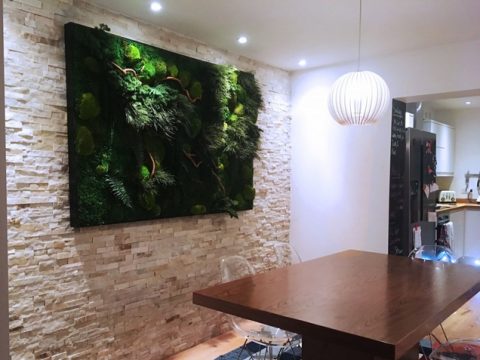 8 hermosas e increíbles ideas de paredes de musgo